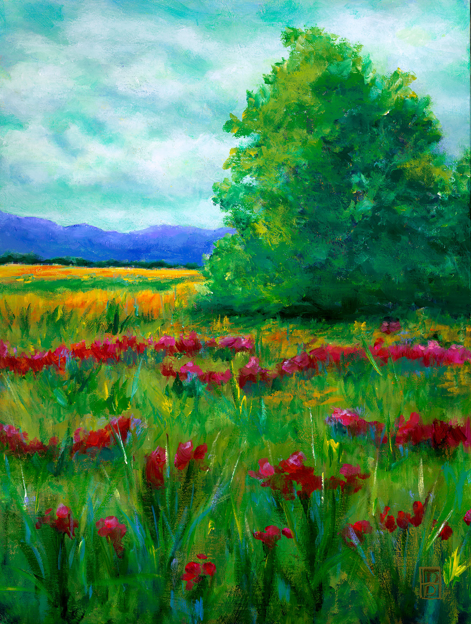 Red Field - Debbie Dannheisser, Artist - Sarasota, Florida | Debbie ...